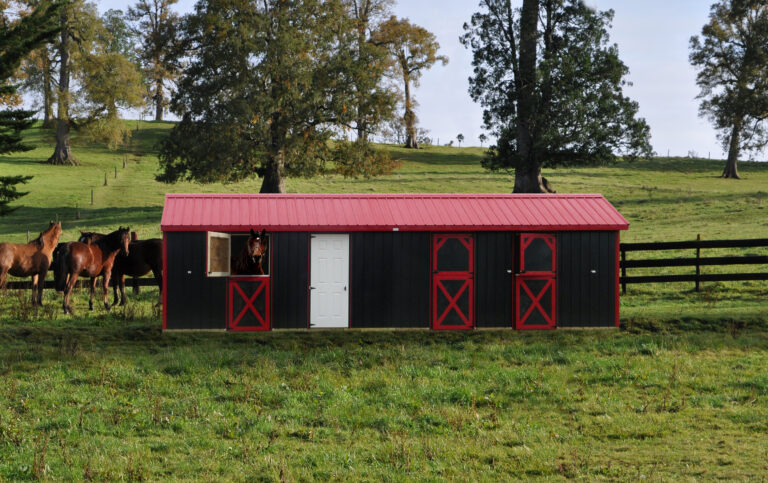 Premium Outdoor Structures - Raber Storage Barns